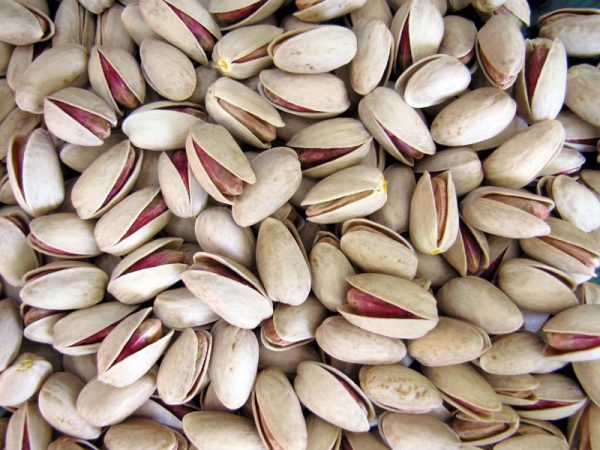 Different types of pistachios for every taste - kouroshfoods