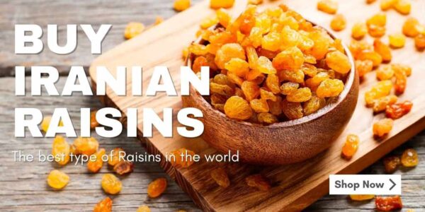 Raisins making process, made from fresh grapes | kouroshfoods