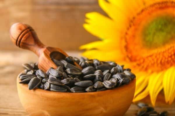 Cracking the Case: Are Sunflower Seed Shells Safe to Eat? - kouroshfoods