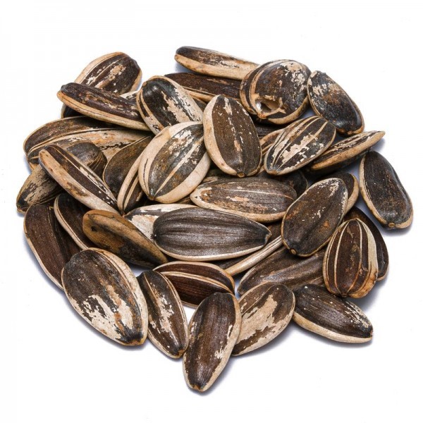 Sunflower Seeds in Shell: A Nutrient-Rich Snack for Health - kouroshfoods