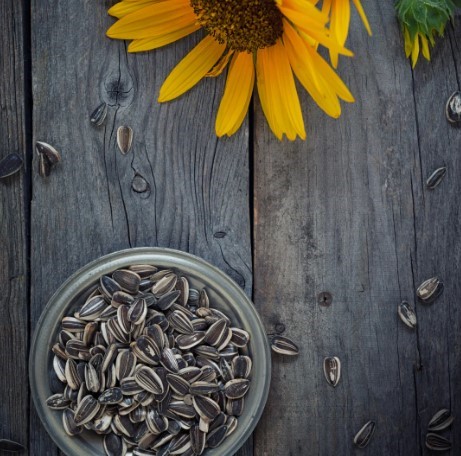 Understanding the Nutritional Value of Sunflower Seeds - kouroshfoods